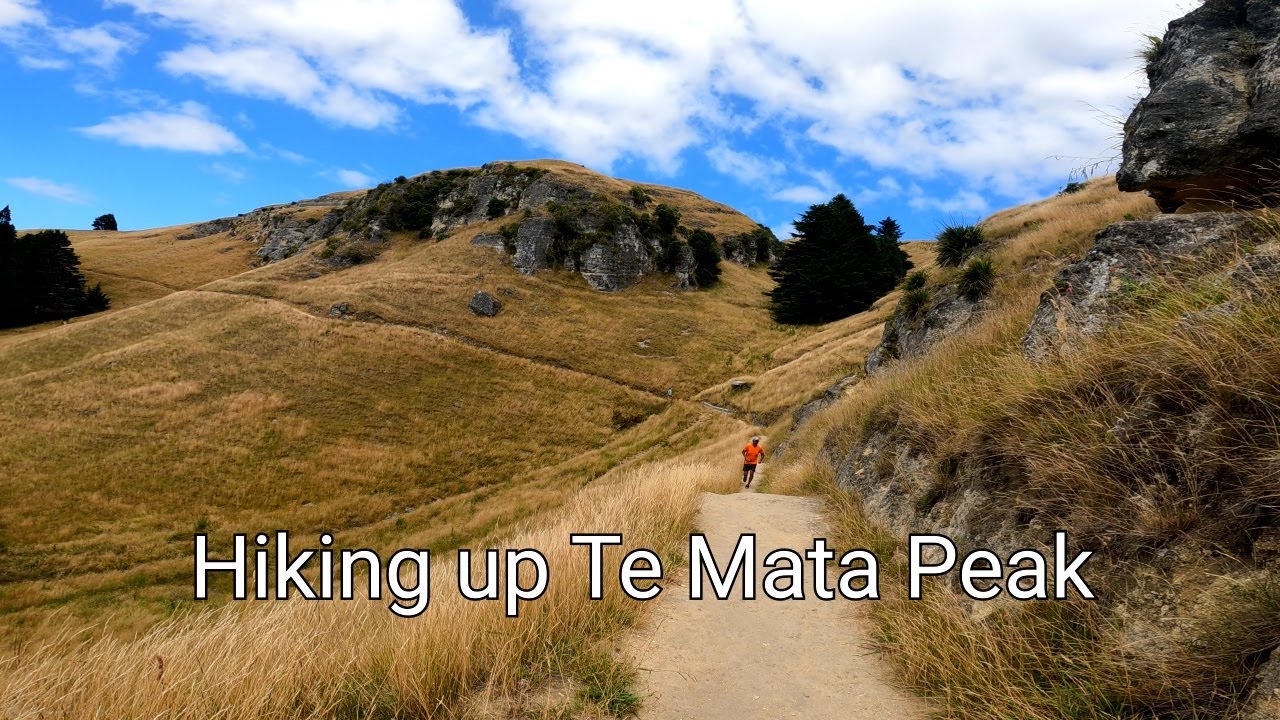Taking a hike to the top of Te Mata Peak from the Tauroa Rd carpark ...