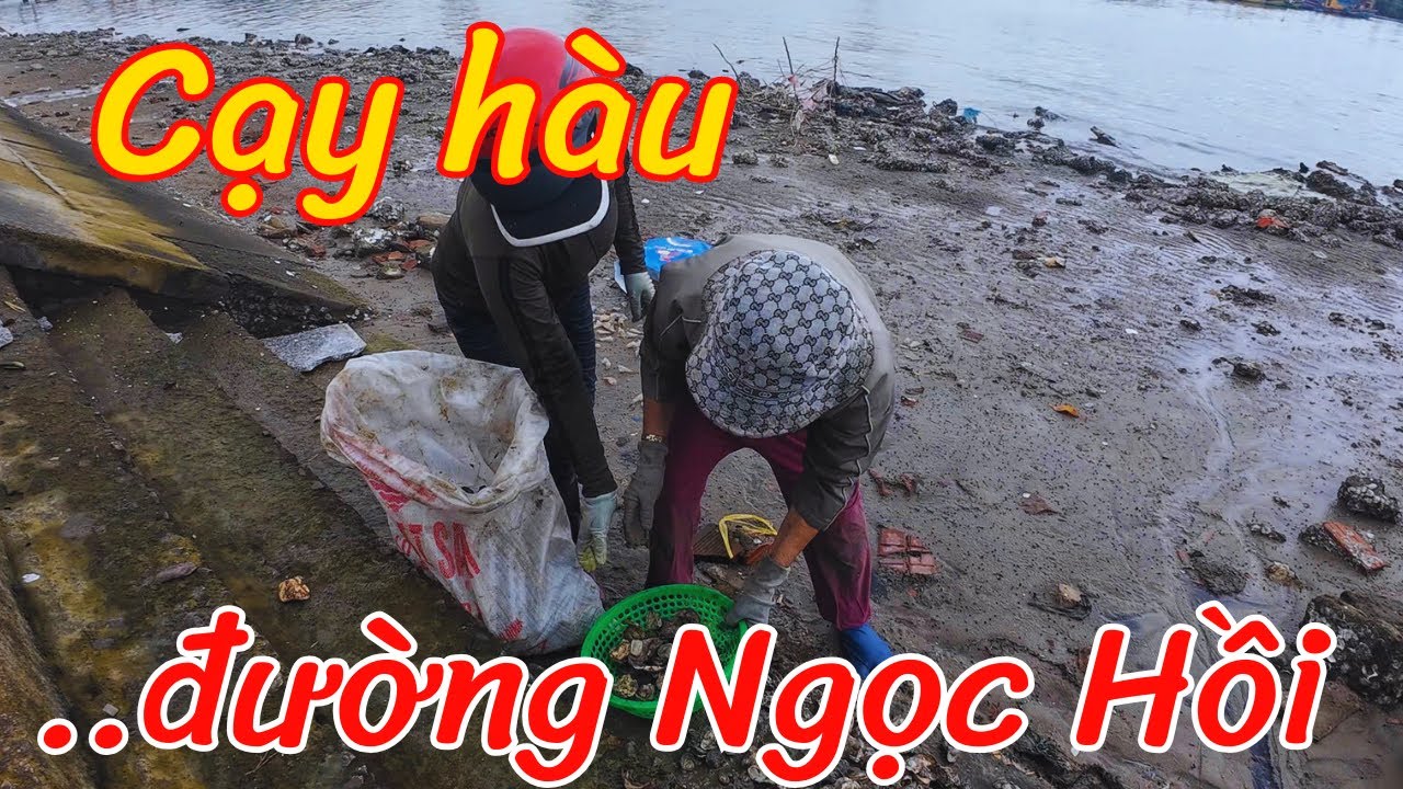 You Won't Believe What This 71-Year-Old Woman Does on Ngoc Hoi Street! - YouTube