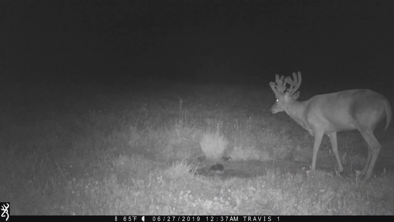 Double Beam Buck 2 - YouTube