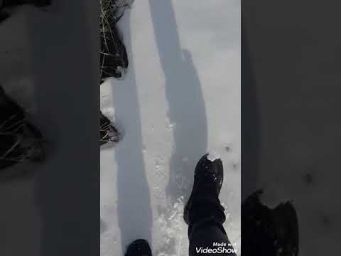 Fatih Sultan Mehmet han ın Hz Peygamberimize yazdığı şiir. Sen kokmayan gülü neyleyim.