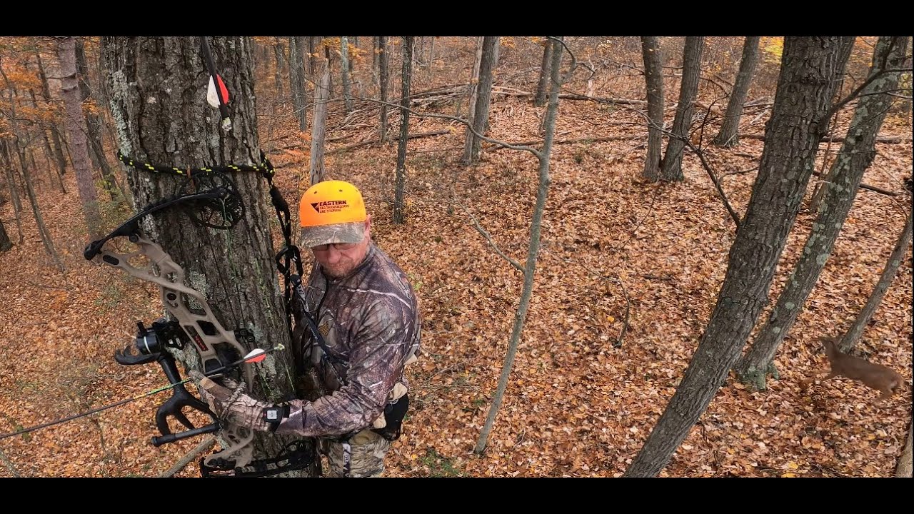 2023 PA Public | Archery | Big Buck Chasing - YouTube