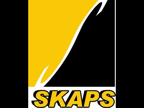 SKAPS INDUSTRIES Corporate 2023 - YouTube