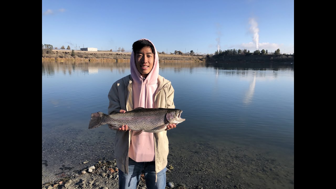 6.1 lb Trout at Shadow Cliffs Reservoir - YouTube