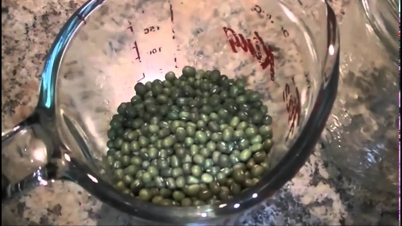 Moong Sprouts - YouTube