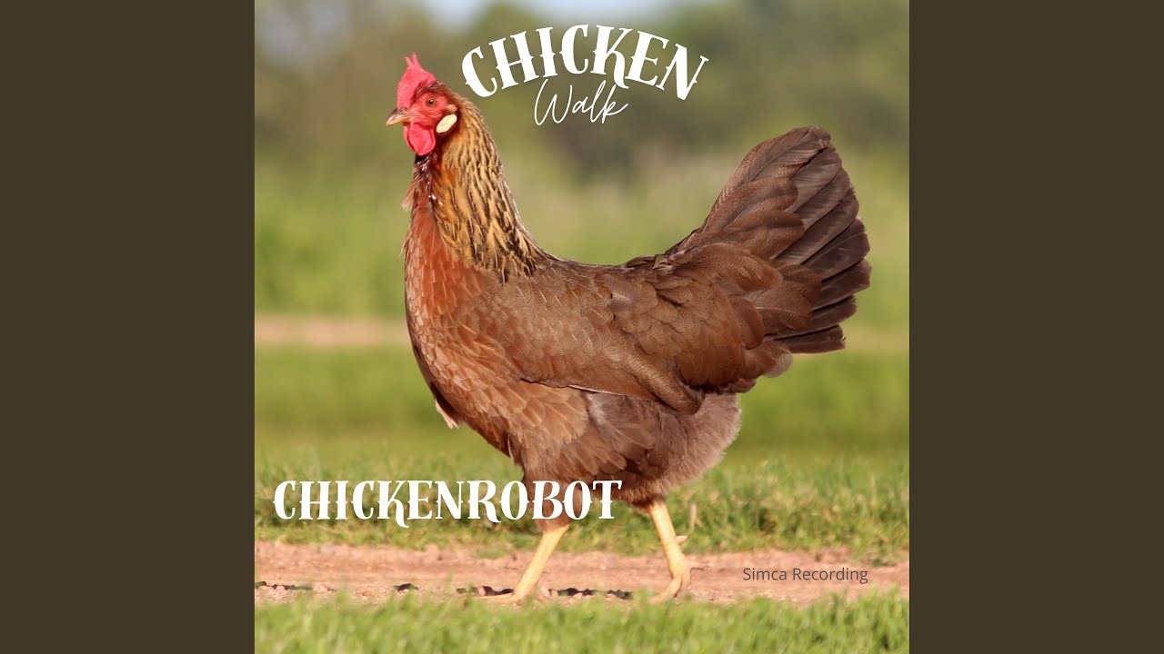Chicken Walk - YouTube