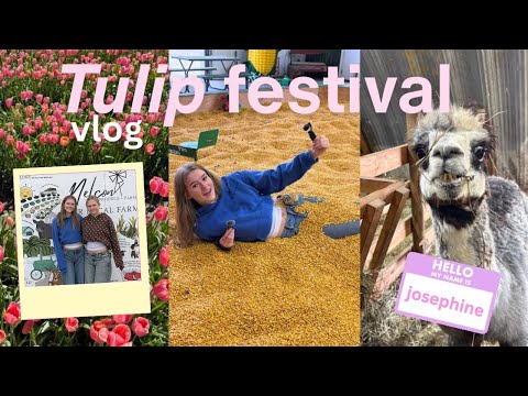 Exploring the TULIP FESTIVAL 🌷🐷VLOG