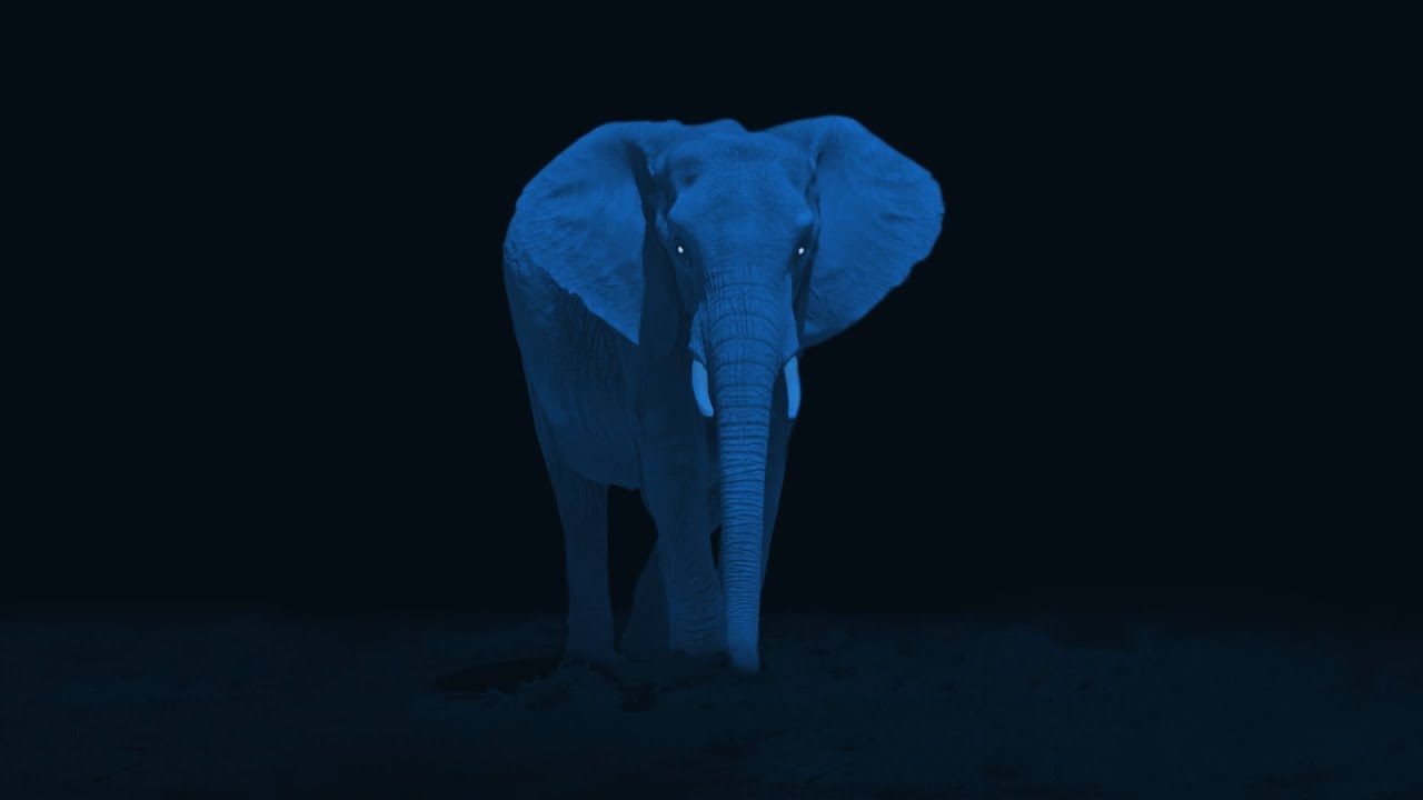 Buddy Buxbaum - Power (Official Video) - YouTube