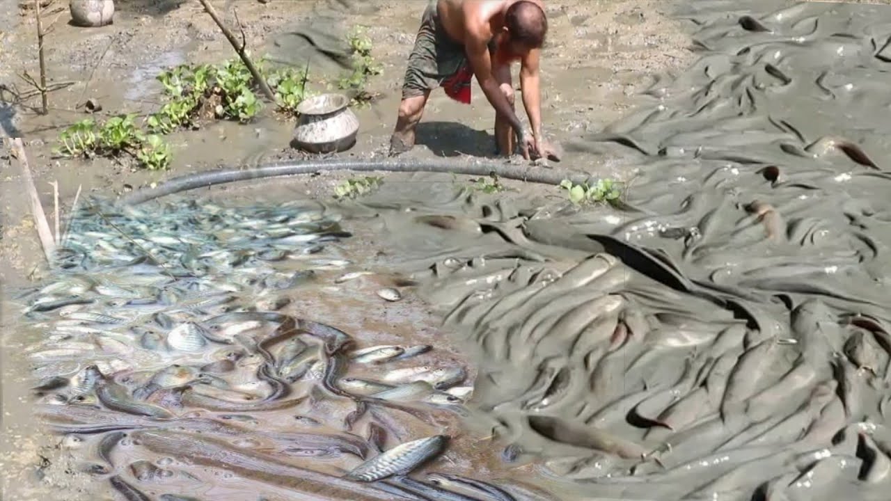 Asian Traditional Fishing By Village People || Old System Fishing - YouTube