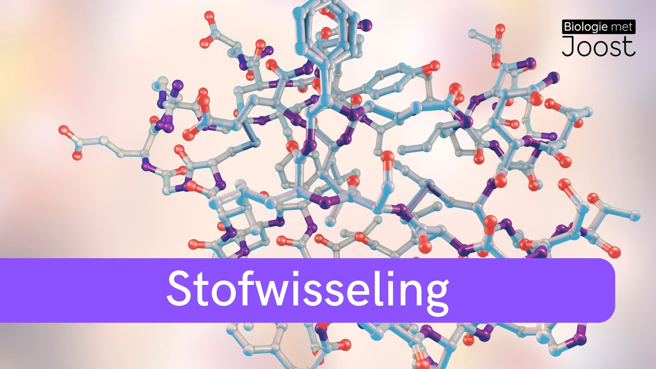 Stofwisseling | Creatief met Biologie - YouTube