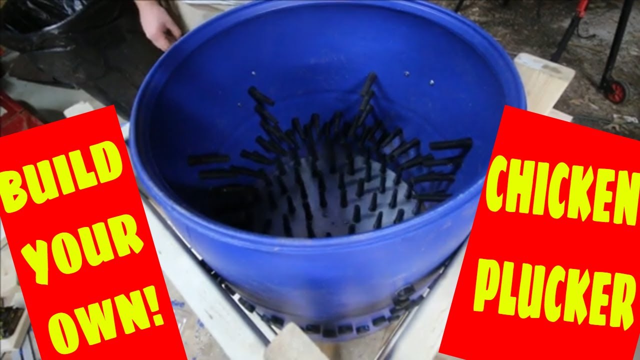 DIY wiz-bang chicken plucker - YouTube