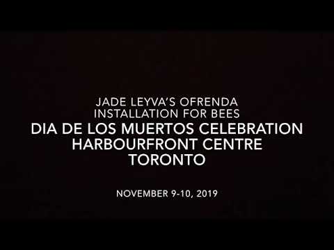 Jade Leyva in Toronto presenting an art project for bees at ...