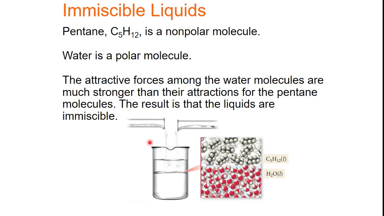 Chapter 11 Section 3 Types of Intermolecular Forces - YouTube
