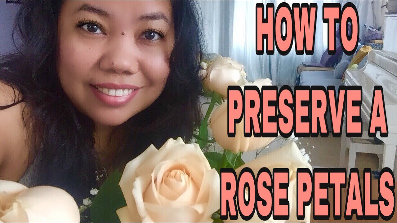 HOW TO PRESERVE A ROSE PETALS YouTube how-to-preserve-a-rose-petals-youtube