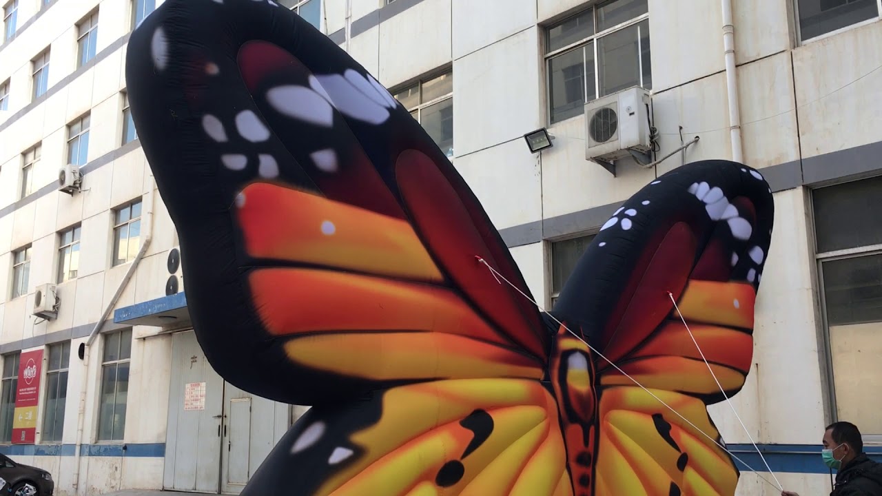 inflatable butterfly cartoon inflatable insert animal model stage ...
