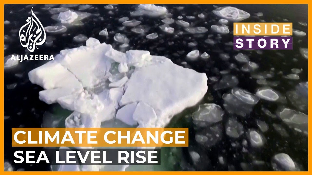 How can inevitable sea level rises be dealt with? | Inside Story - YouTube
