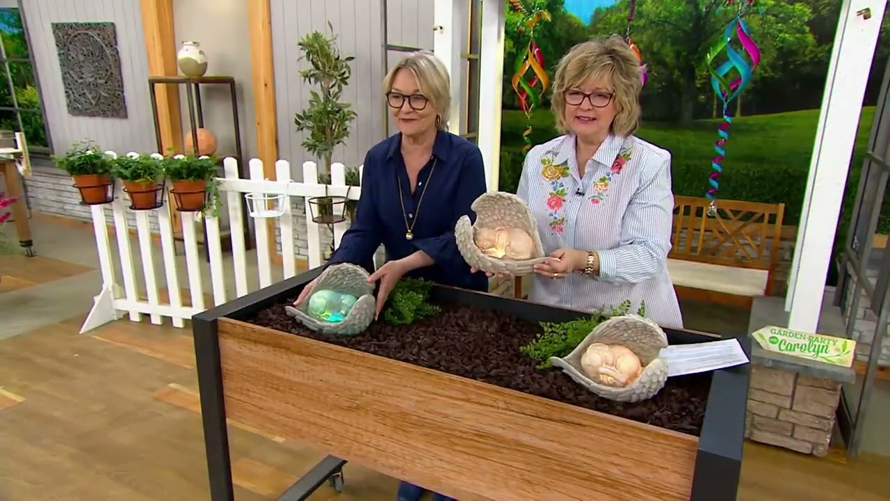 Barbara King Sandstone Sleeping Pet in Angel Wings on QVC - YouTube