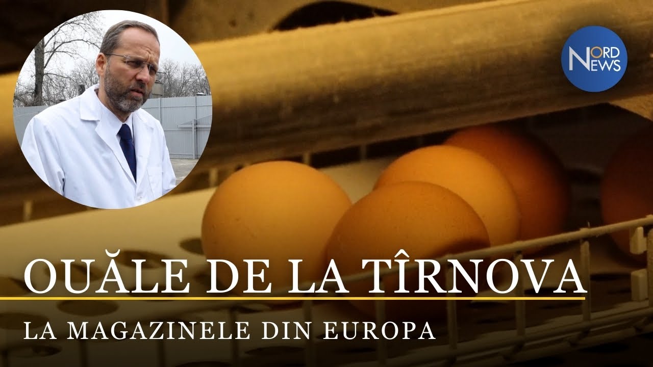 De la Dondușeni, spre piețele europene. Ferma avicolă din Tîrnova ...