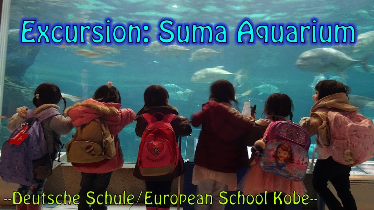 Suma Aquarium Park - Excursion VLOG - Deutsche Schule/European School ...