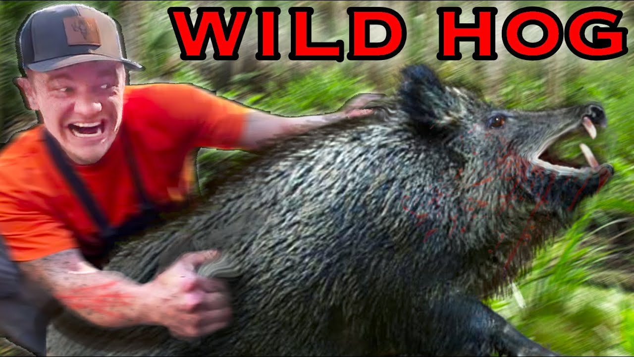 Bare Handed Wild Hog Hunting! - YouTube