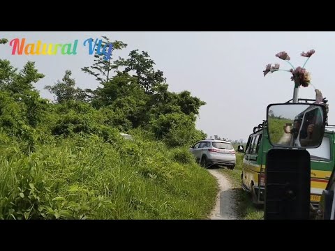 Subscribers,,,Laopani Beautiful Natural... - YouTube
