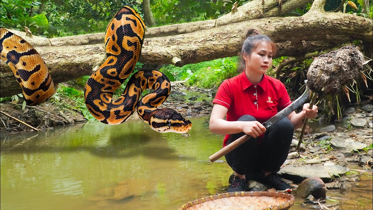 Journey To Harvesting Ant Eggs - BATTLE with GIANT PYTHON | Remote Village Life - YouTube