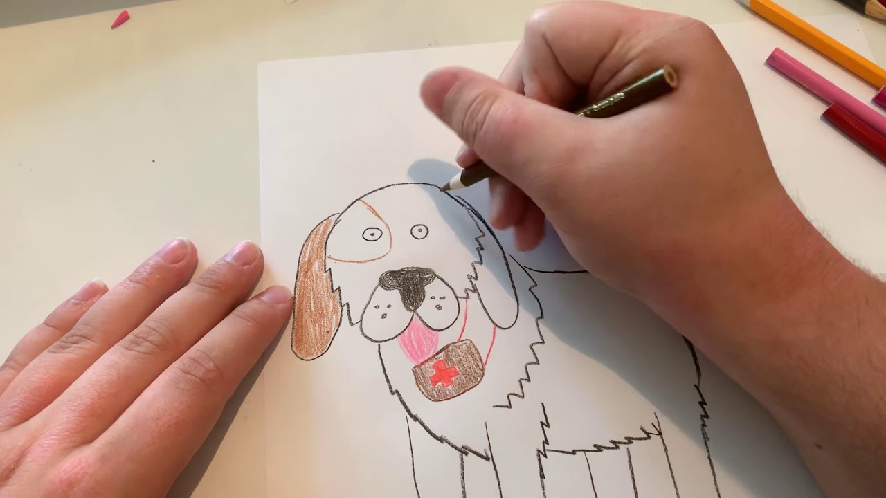 How to draw a Saint Bernard 🐶🐾 - YouTube