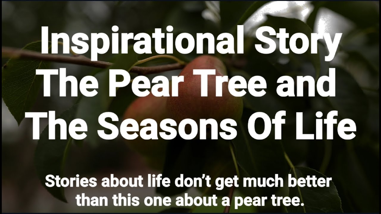 Quotes: Inspirational And Motivational Story, The Pear Tree And The ...