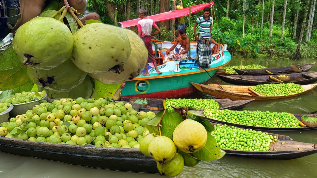 Floating Guava Market - YouTube