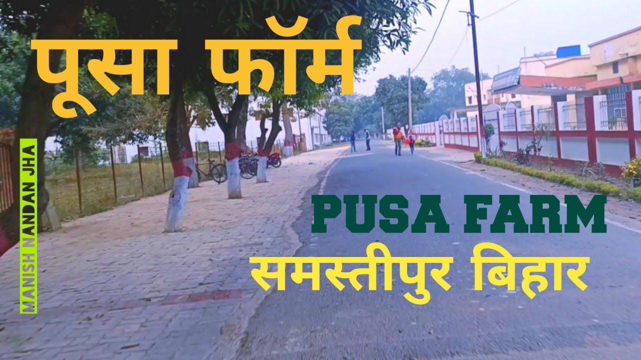 Pusa Farm Samastipur Bihar. पूसा फॉर्म का एक दृश्य।#manishnandanjha ...