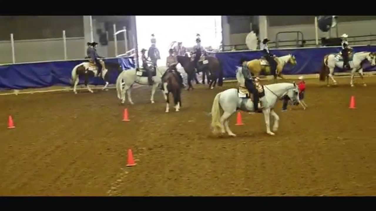 2014 State 4-H Horse Show - YouTube