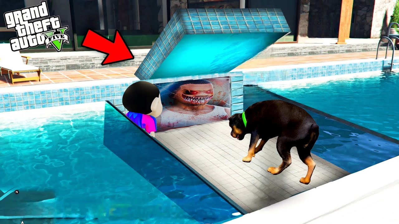 CHOP& Franklin Found Secret Bunker Door Near Franklin's Swimming Pool ...