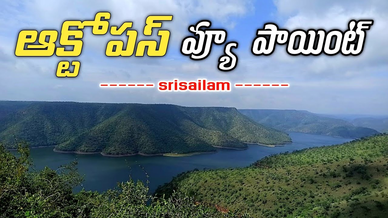 octopus viewpoint | octopus view point | srisailam nallamala forest ...