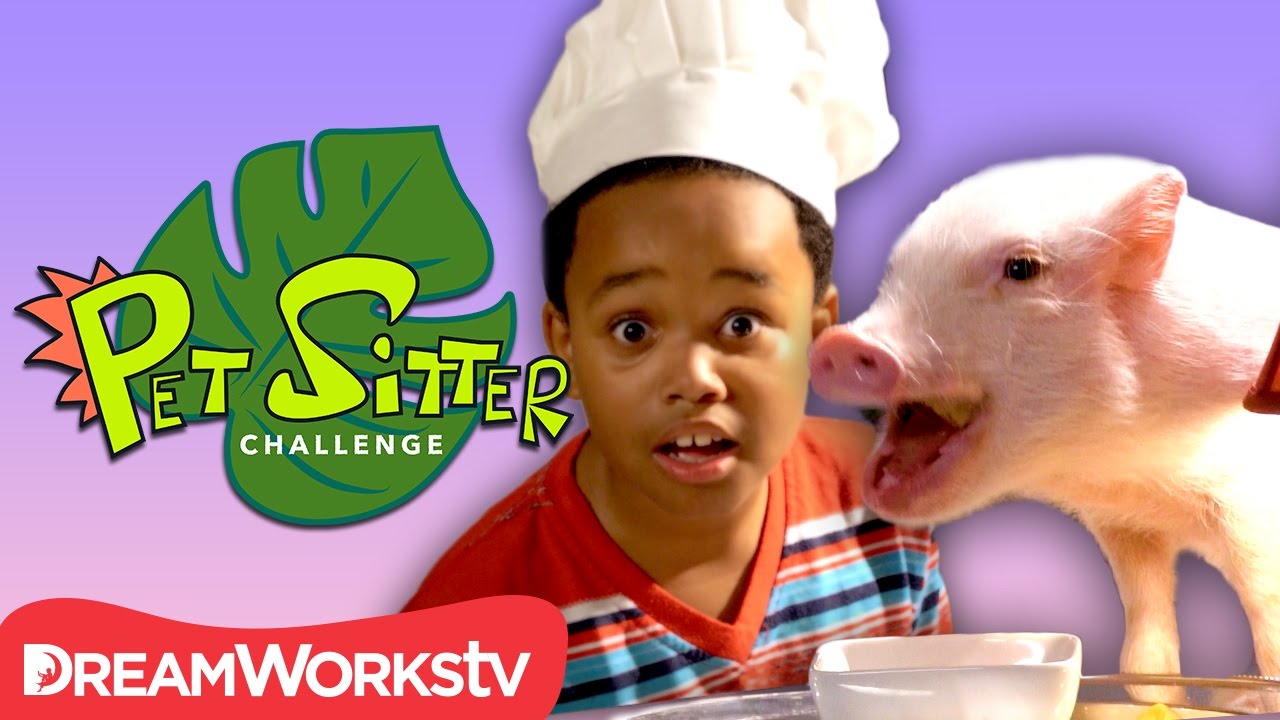 Cooking for a Picky Pig | PET SITTER CHALLENGE - YouTube