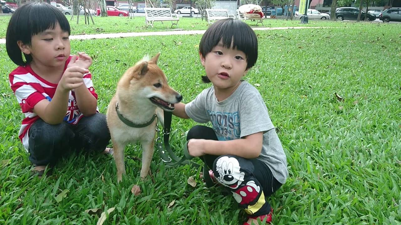Nikki good with kids. - YouTube