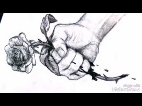 Whatsapp status üçün