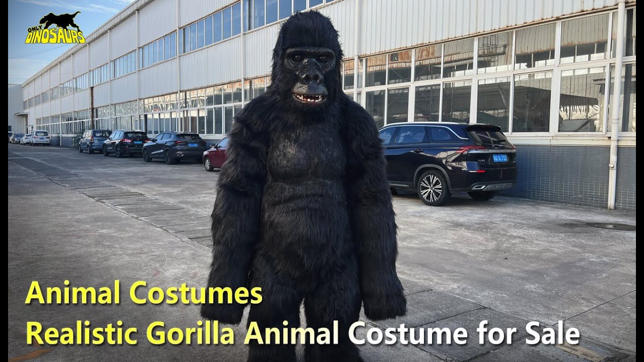Realistic Gorilla Animal Costume for Sale | Animal costumes - YouTube