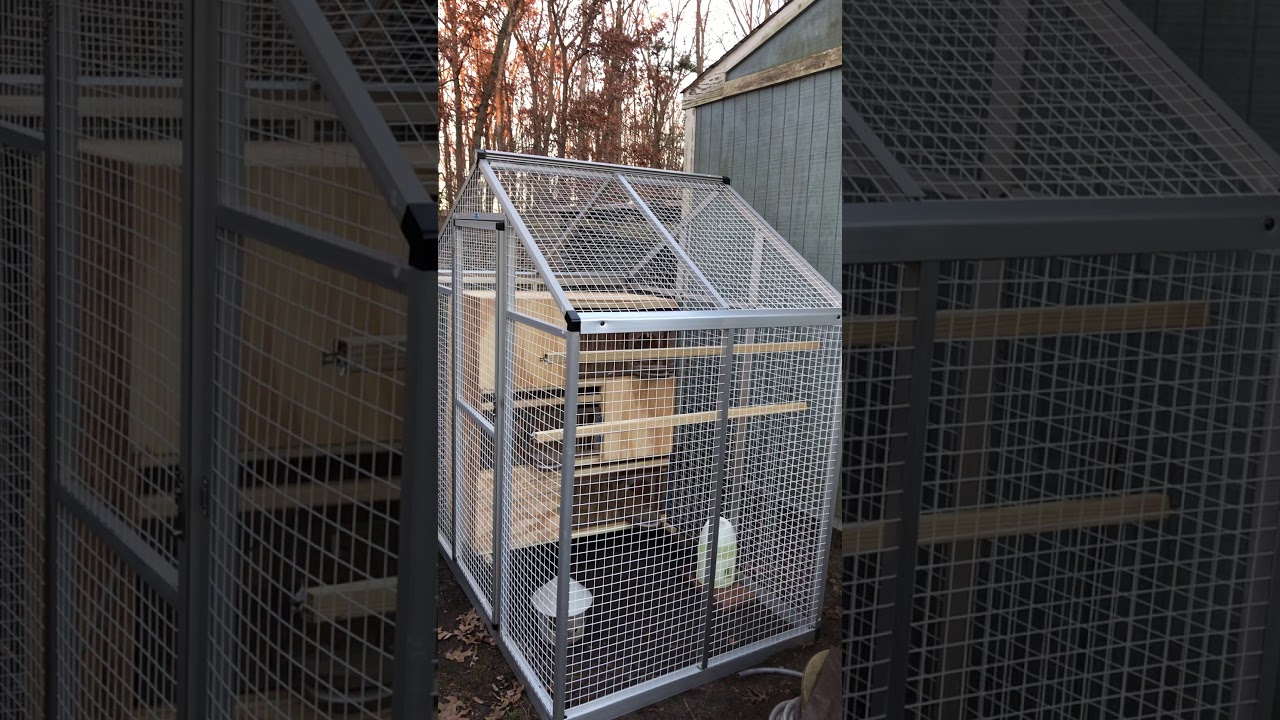 Pigeon Aviary from Ebay - YouTube