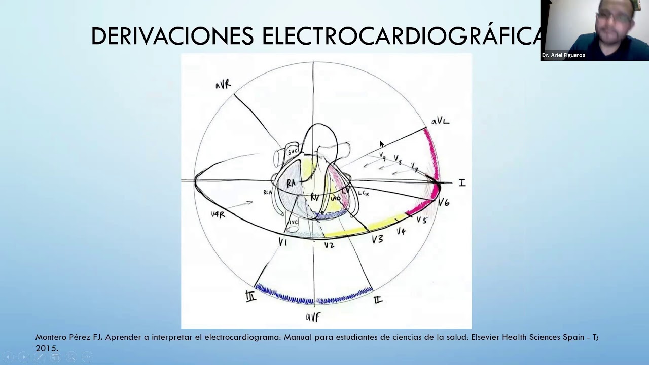 video ecg final - YouTube