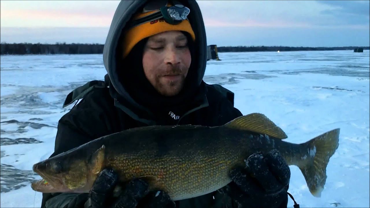 Giant Walleyes with the Wacky Walleye Crew - YouTube