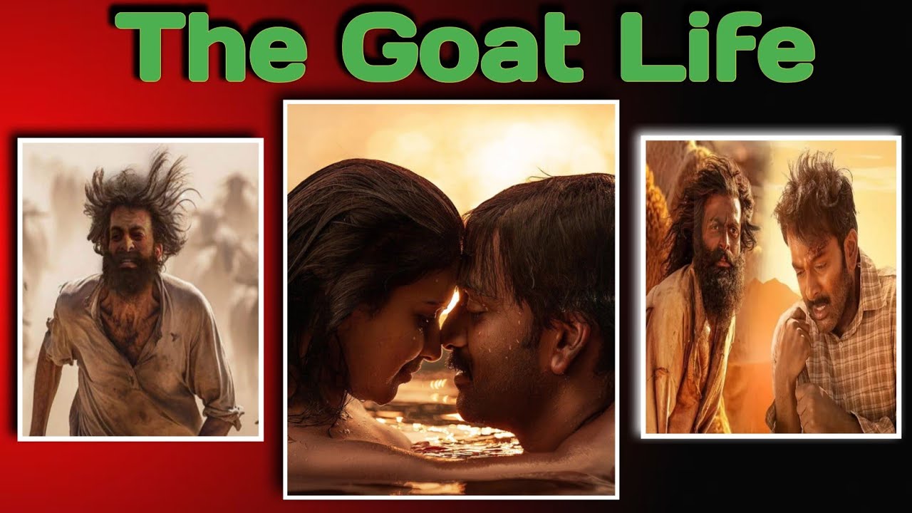 The Goat Life Movie Explained Video (IMDB) সত্যিকারের ঘটনাb2024 - YouTube