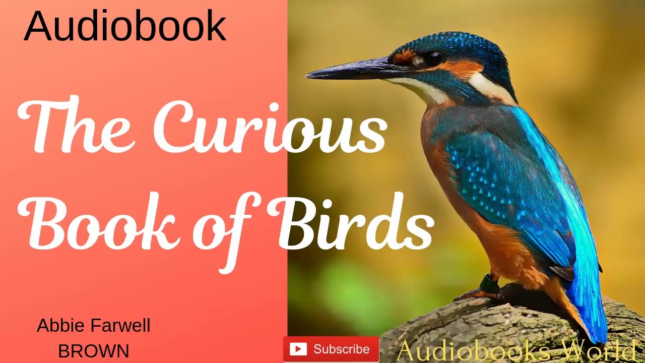Audiobook - The Curious Book of Birds - YouTube
