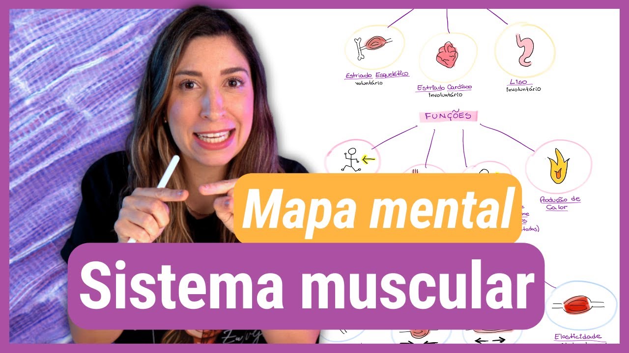 Faça um MAPA MENTAL junto comigo! SISTEMA MUSCULAR - YouTube