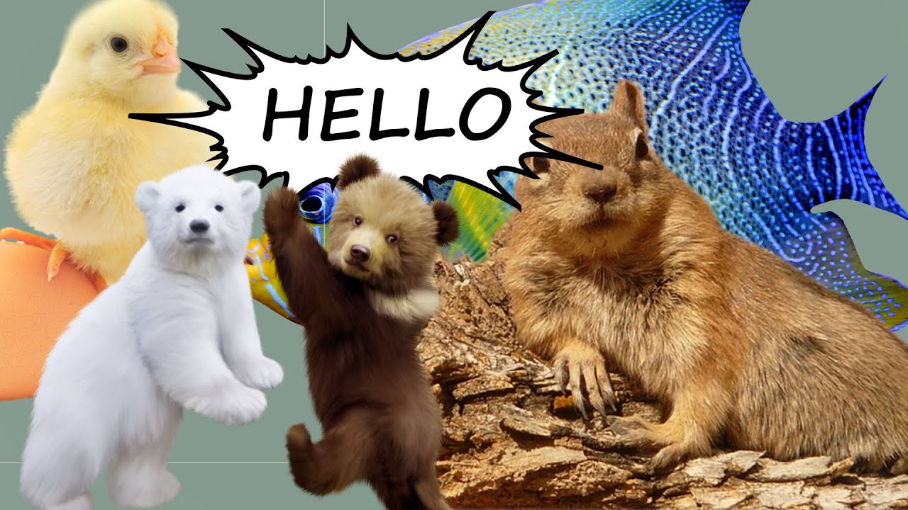 Animal sounds: piglet, bear, slug, squirrel, hen, polar bear, cat and ...
