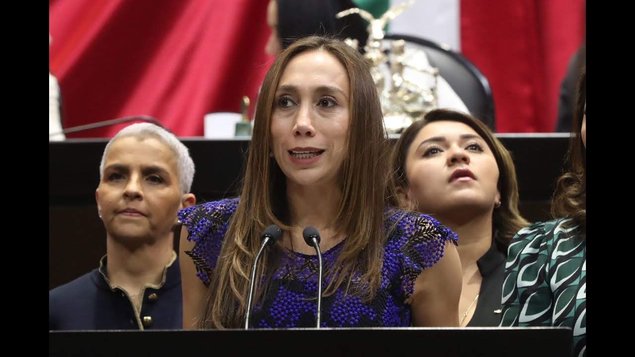 Dip. Nayeli Arlen Fernández Cruz (PVEM) / Postura de su Grupo ...