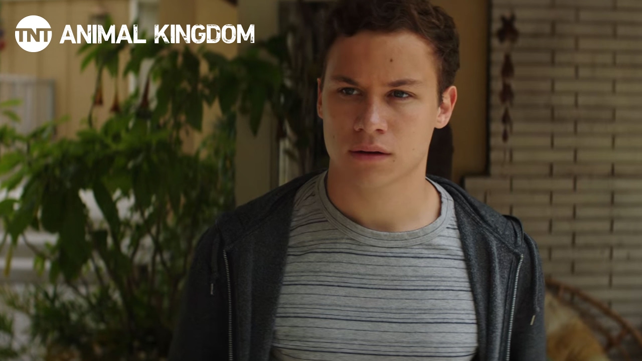 Animal Kingdom: Animals - Season 1, Ep. 7 [SNEAK PEEK] | TNT - YouTube