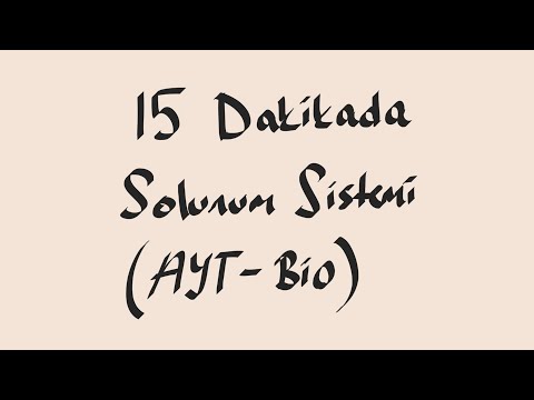 Solunum Sistemi Full Tekrar