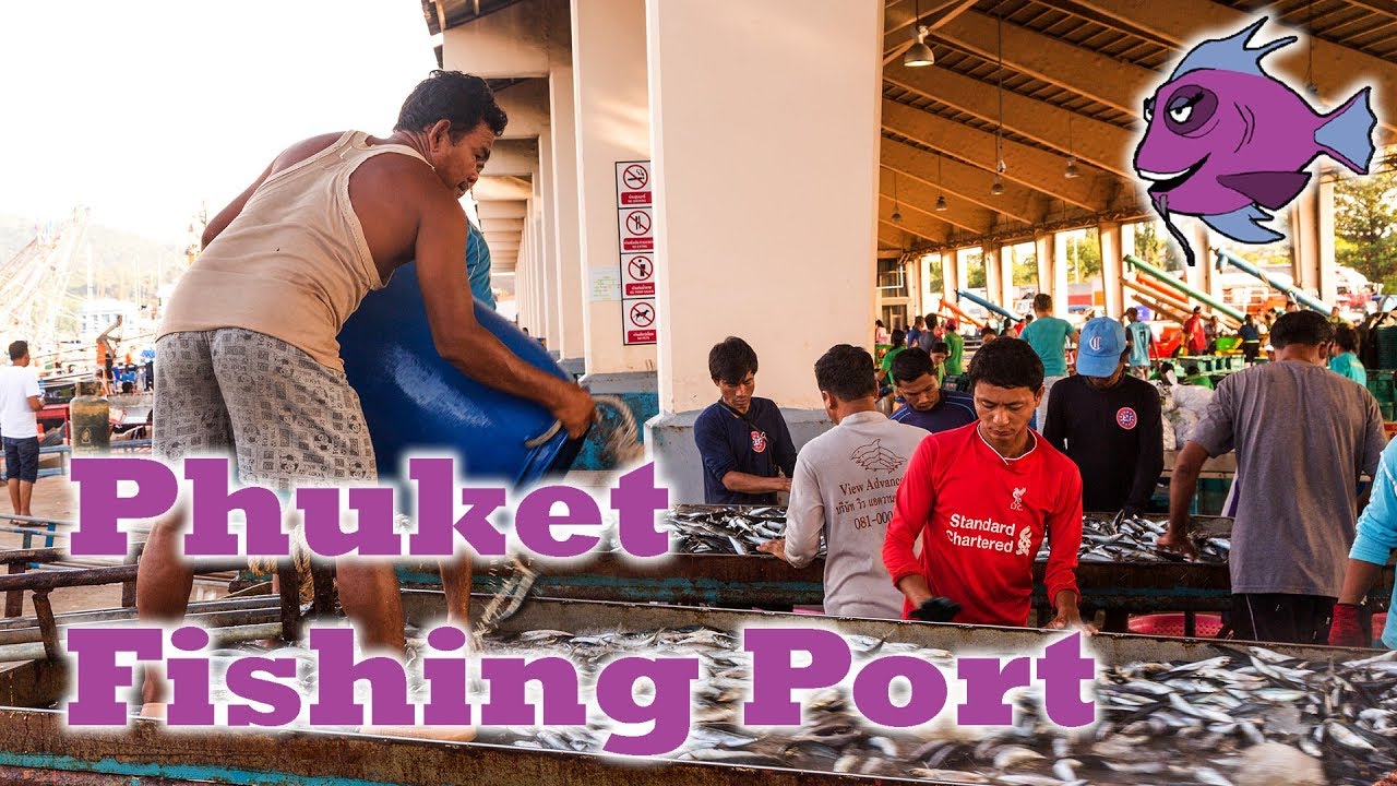 PHUKET FISHING PORT. PEOPLE - YouTube