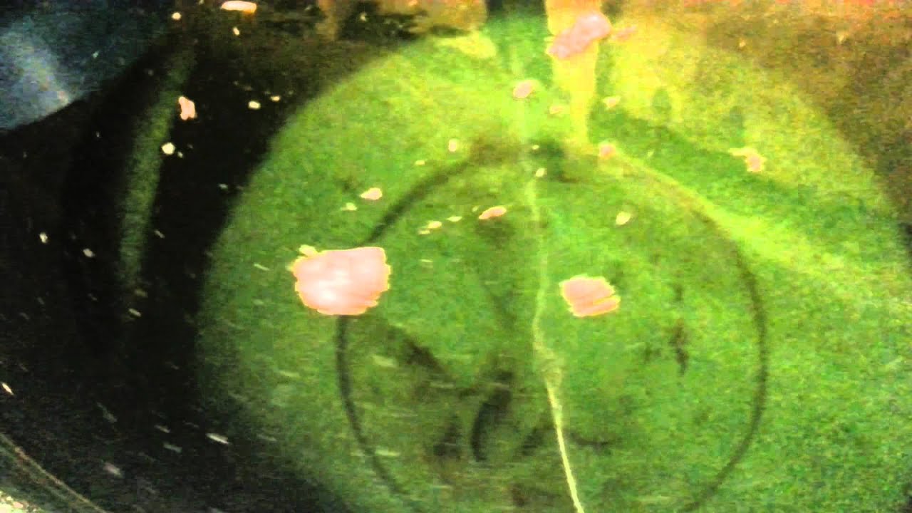 vortex to radial flow separator day 2 - YouTube