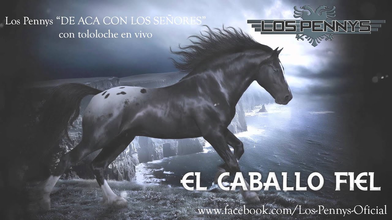 Los Pennys-El Caballo Fiel-DE ACA CON LOS SEÑORES-LIVE - YouTube