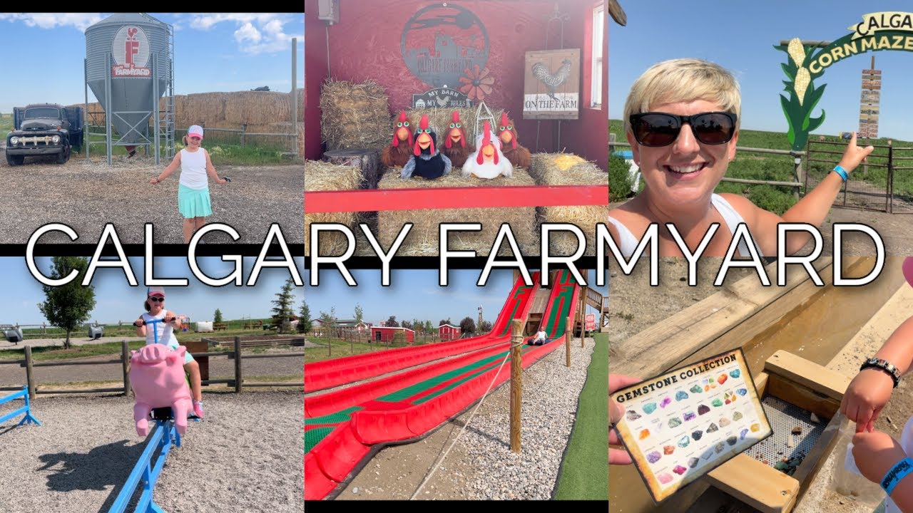 A SUMMER TRIP TO CALGARY FARMYARD! - YouTube